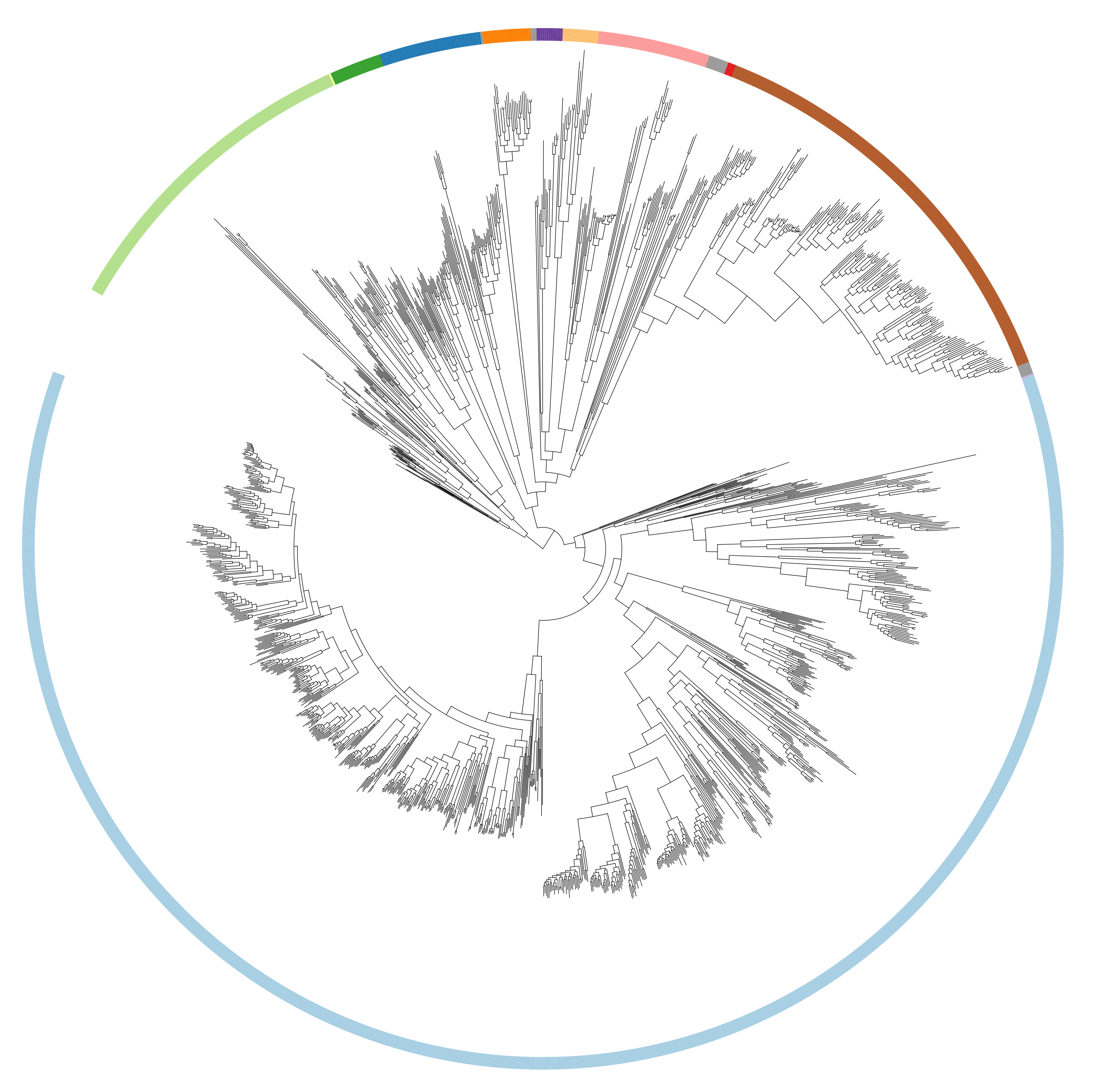 Comprehensive mouse microbiota genome catalog reveals major difference ...